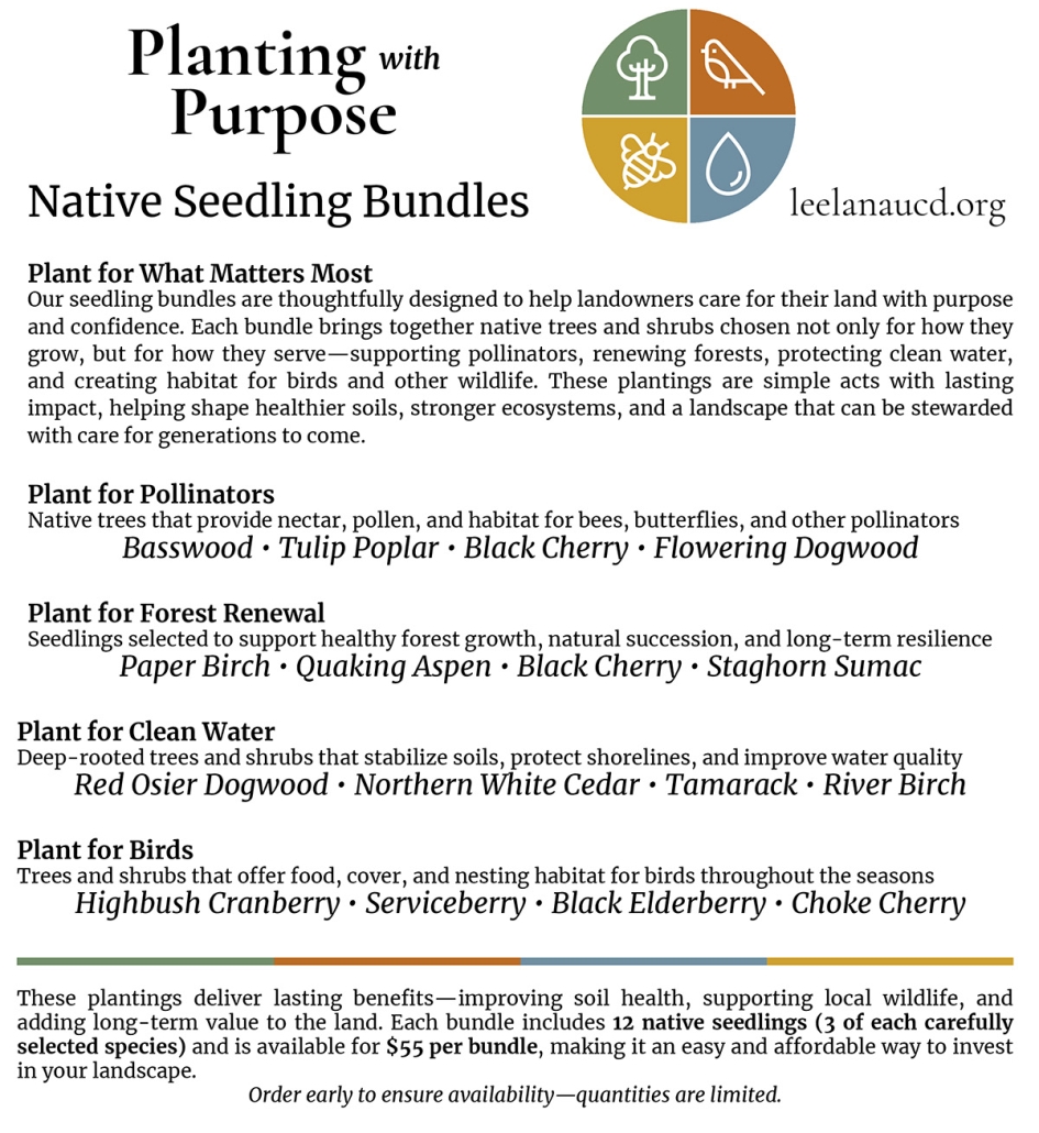 Start growing tomorrow’s trees today with the Leelanau Seedling Sale ...